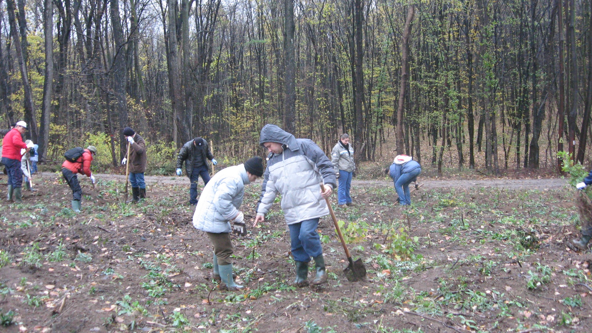 WWF şi Tetra Pak lansează un proiect de împădurire în Parcul Natural ...