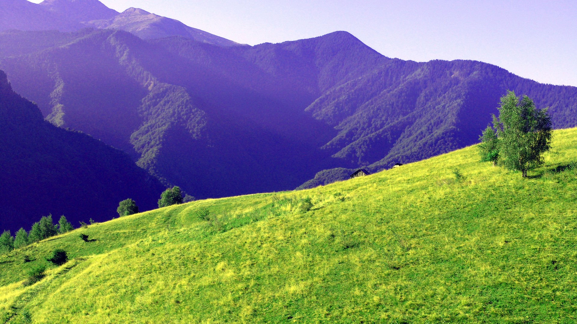 Oportunitate pentru cadrele didactice - implicare proiect mediu | WWF ...