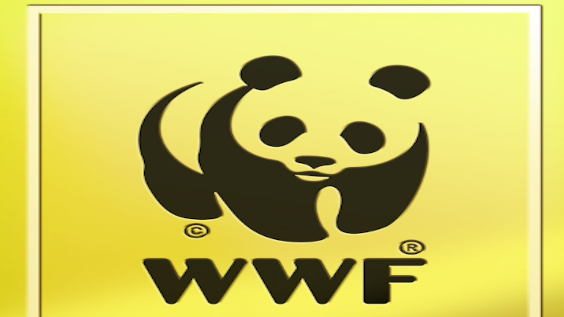 WWF aniversează 50 de ani de conservare a naturii | WWF Romania WWF aniversează 50 de ani de conservare a naturii | WWF Romania