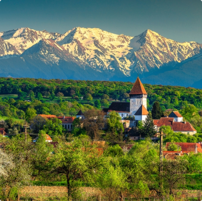 Ursul brun | WWF Romania