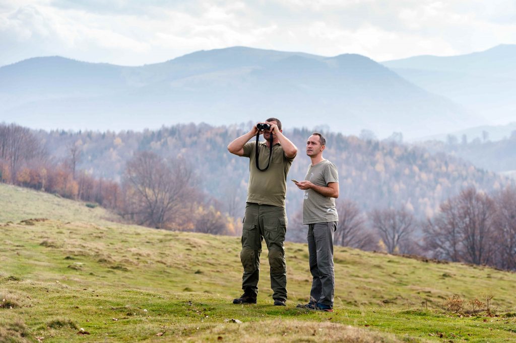 Zimbrul | WWF Romania