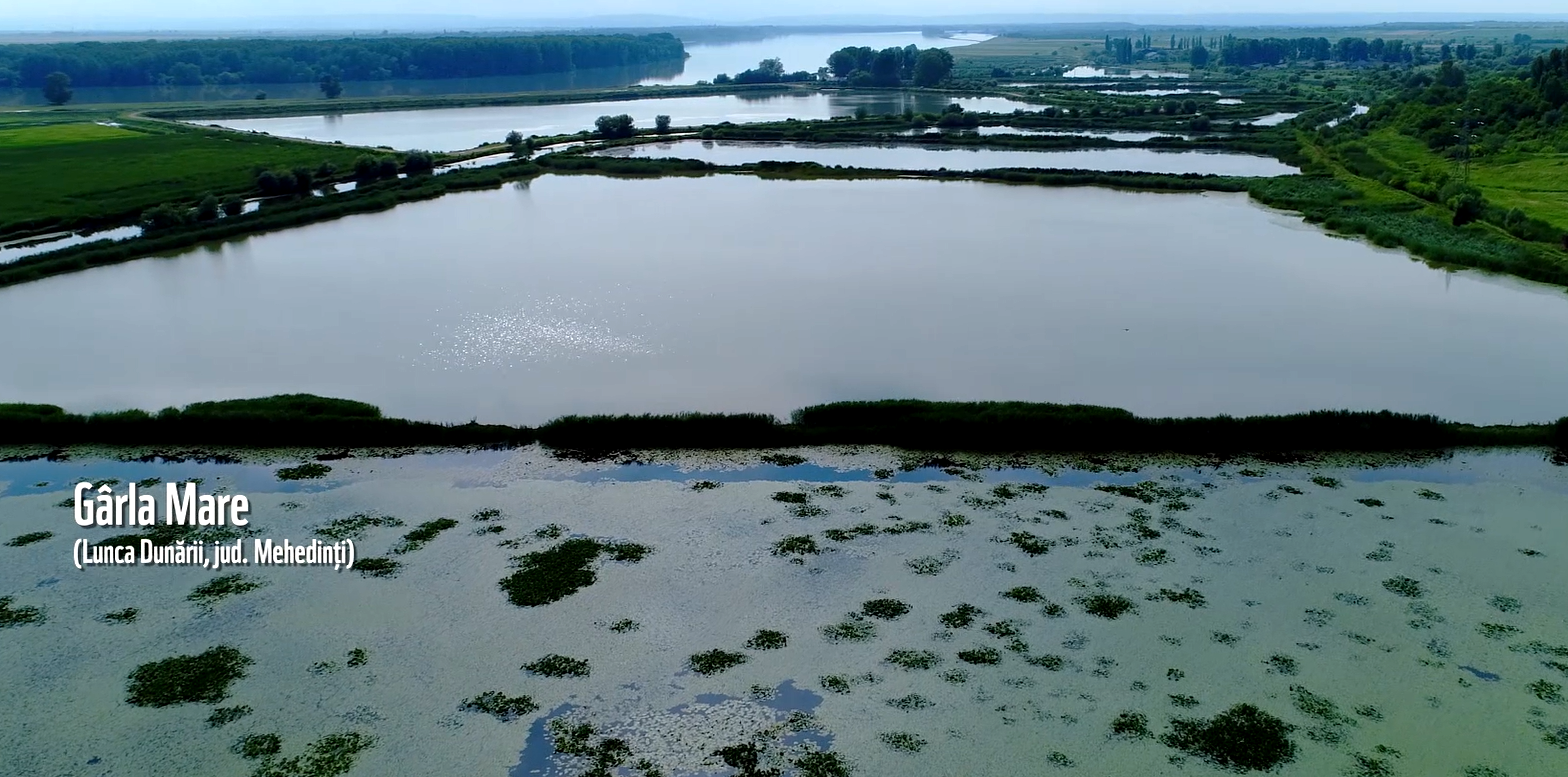 Împreună pentru Dunăre | WWF Romania