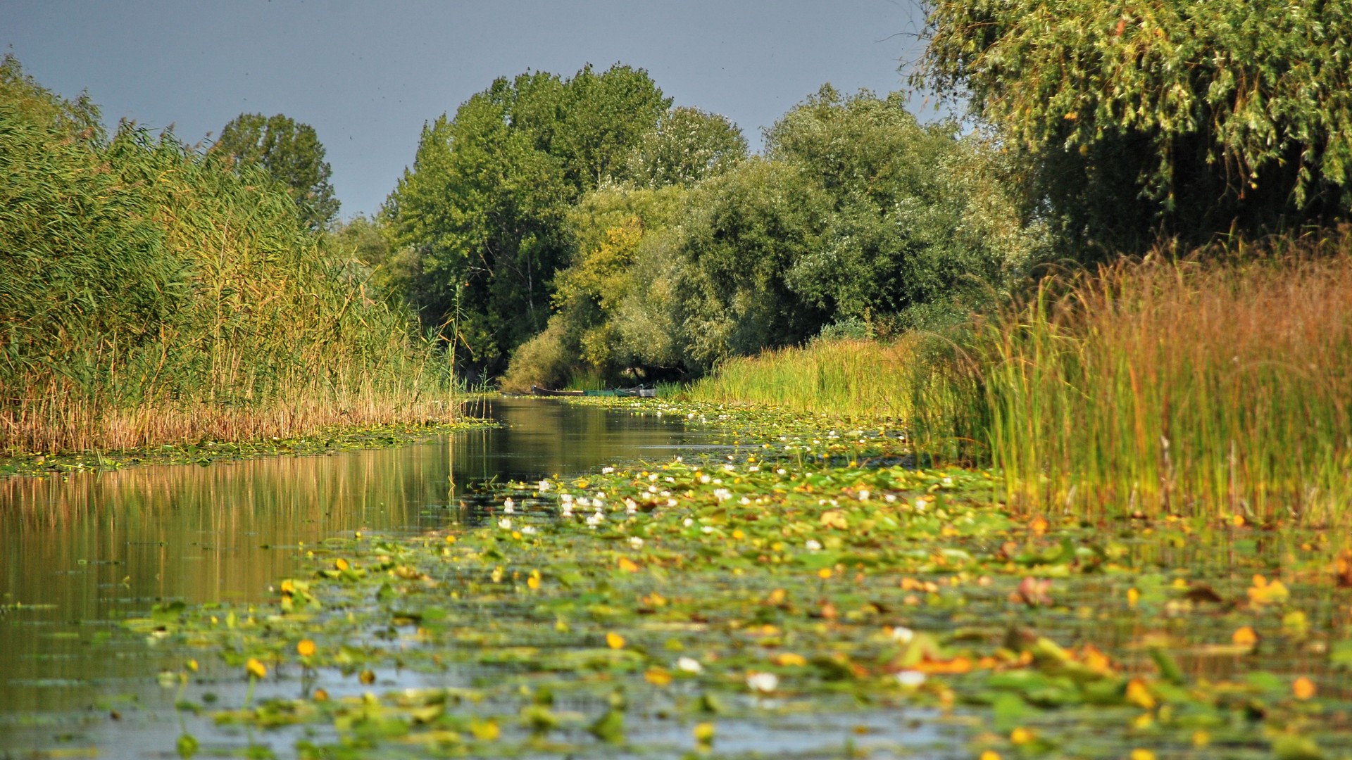 Planurile de intensificare a navigaţiei vor afecta considerabil Dunărea ...