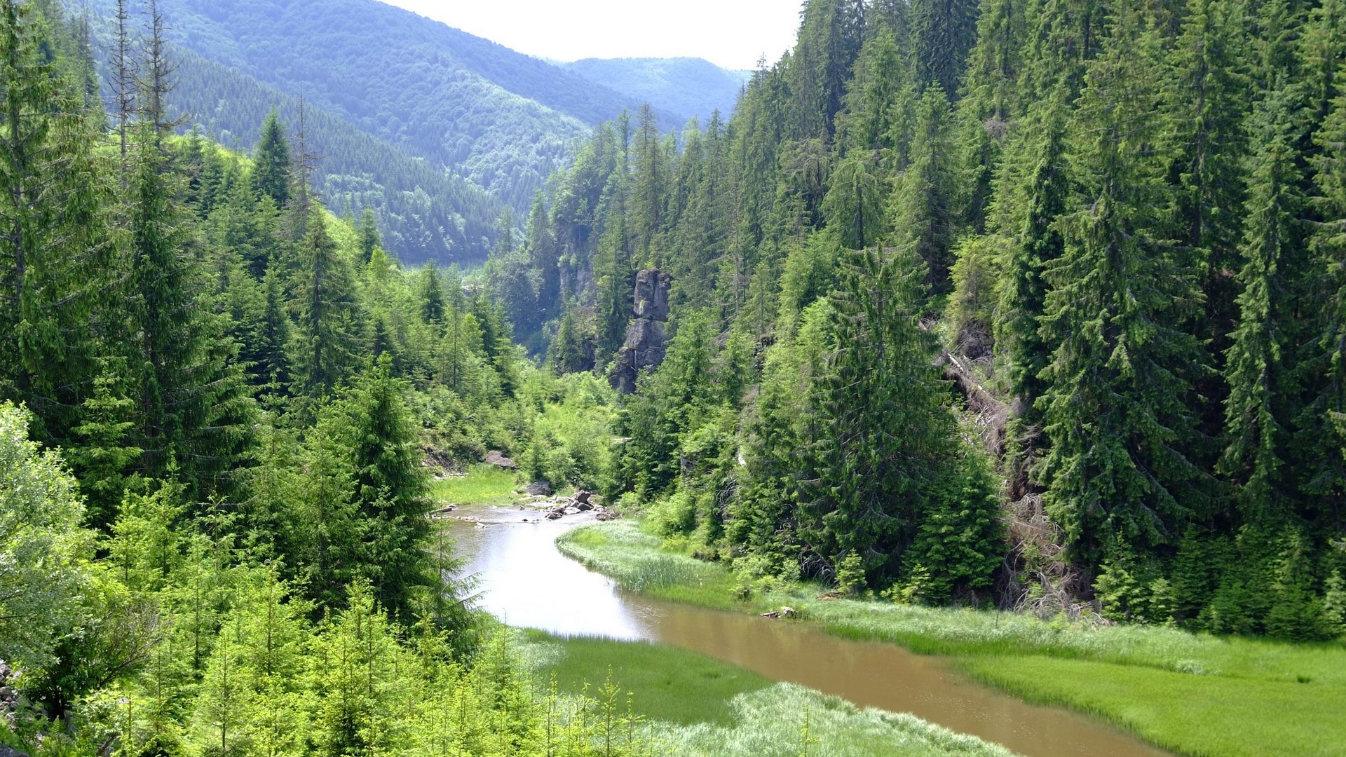 Ariile naturale protejate din România rămân neprotejate: custozii, daţi ...