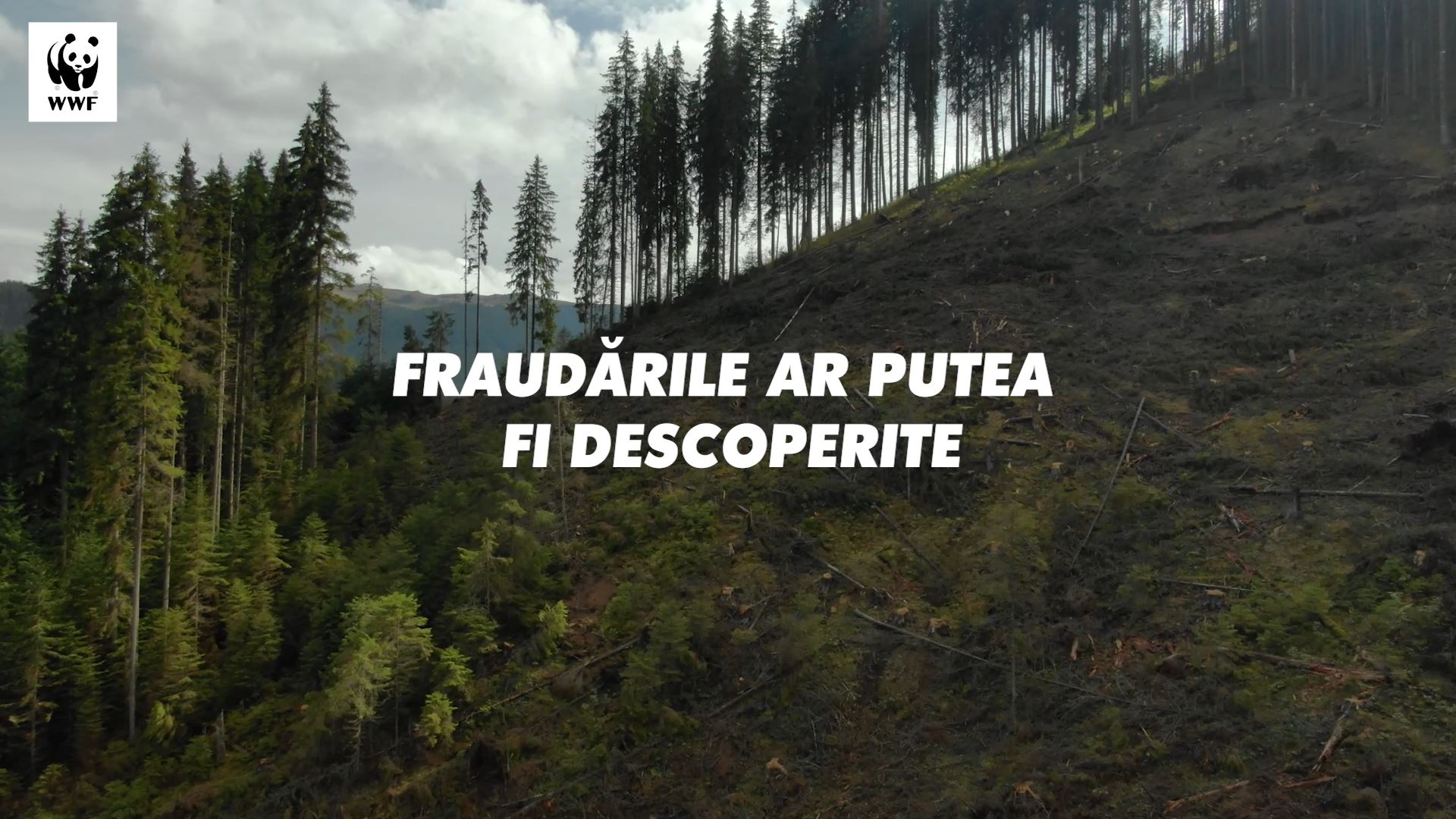 Cât de ușor ne-am putea apăra pădurile | WWF Romania