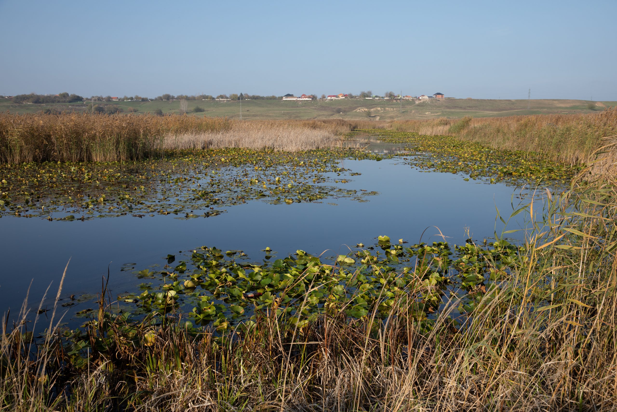 Garla Mare revine la viata | WWF Romania
