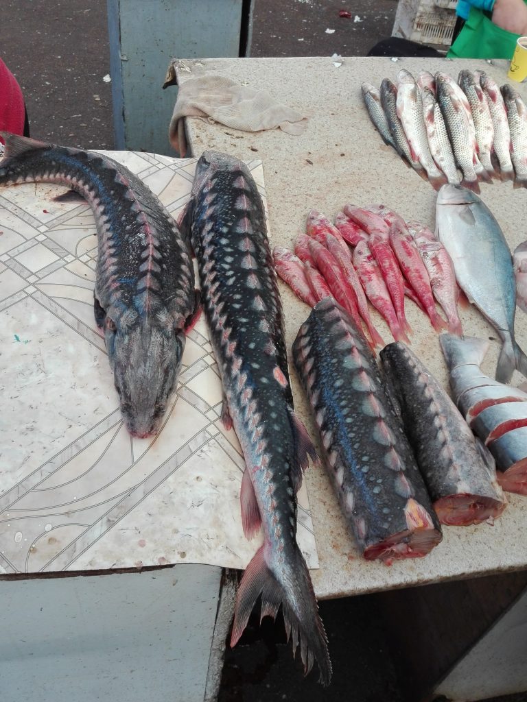 STUDIU DE PIATA PRIVIND TRAFICUL CU PRODUSE DIN STURION: Aproape o ...