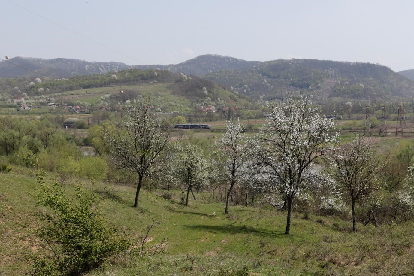 PACT2020 Parteneriat pentru Colinele Transilvaniei | WWF Romania