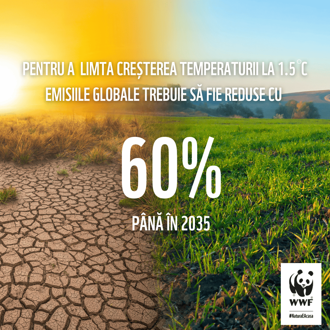 Raportul științific ONU privind clima prevede consecințe catastrofale ...