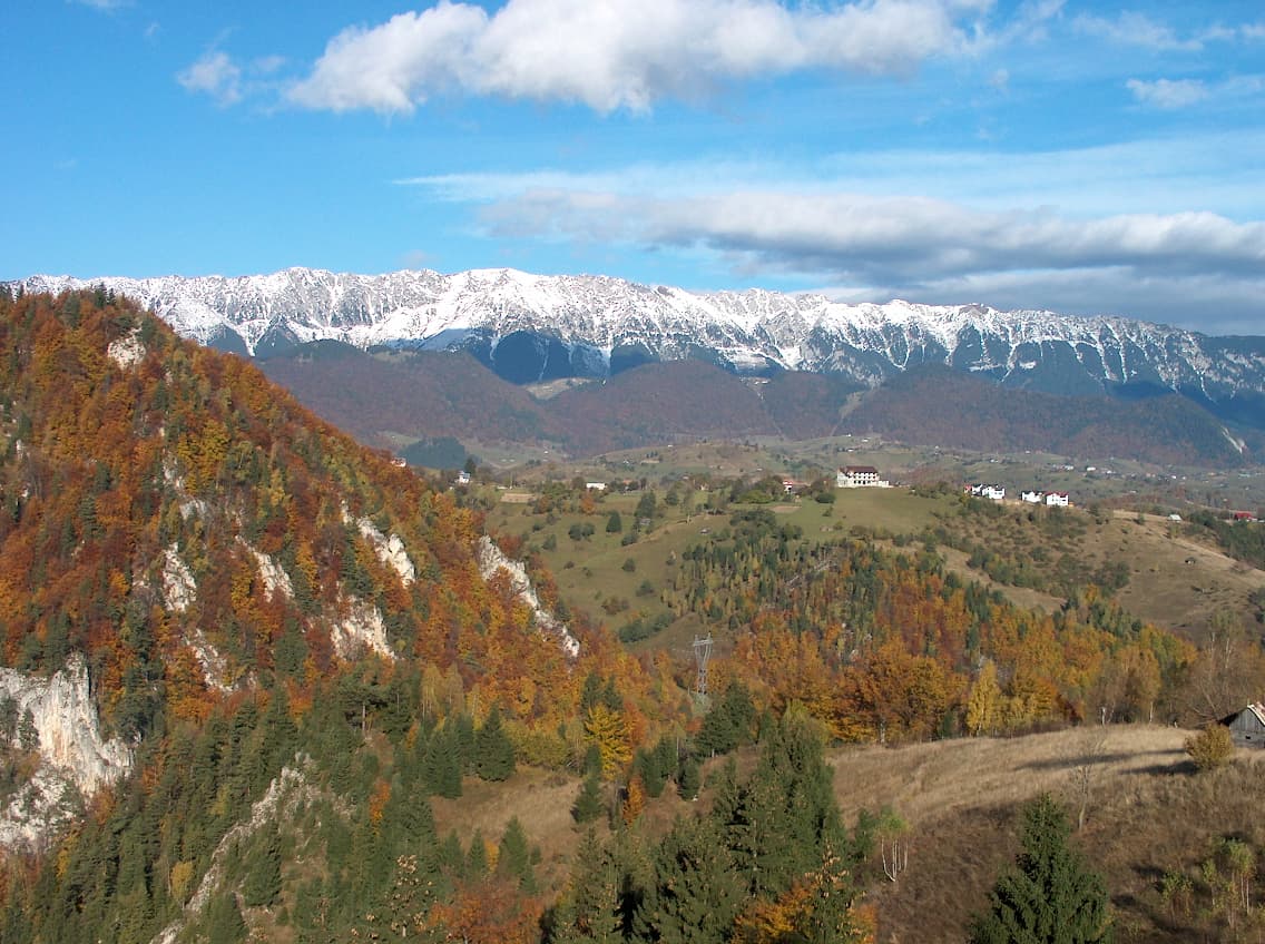 WWF Romania | Construim un viitor în care oamenii trăiesc în armonie cu ...