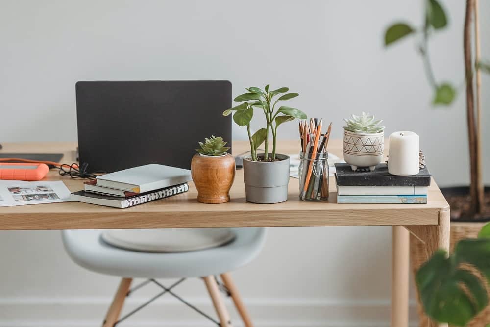 Specialist comunicare şi implicare civică | WWF Romania