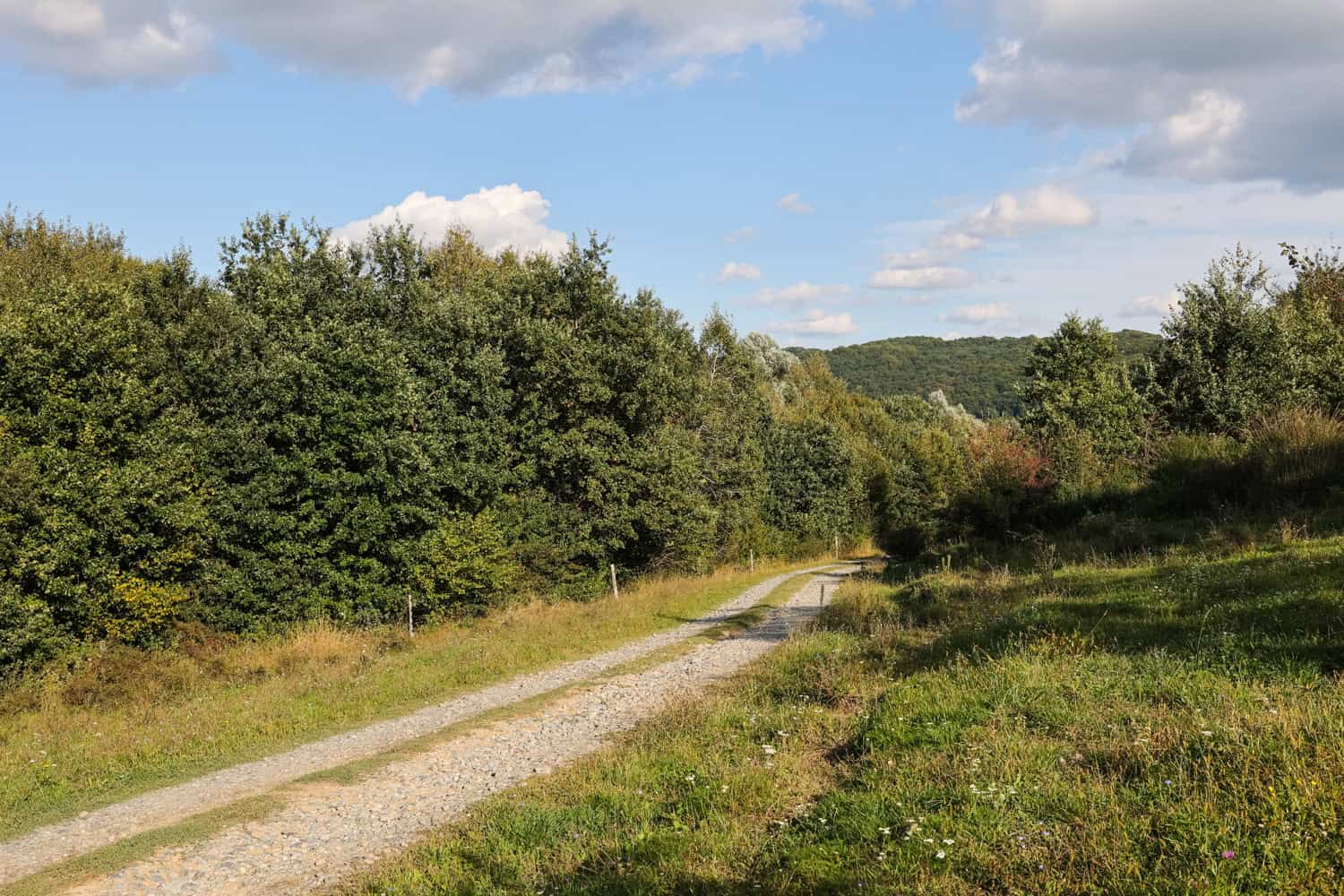 Changes in SUMAL are good, but not essential | WWF Romania