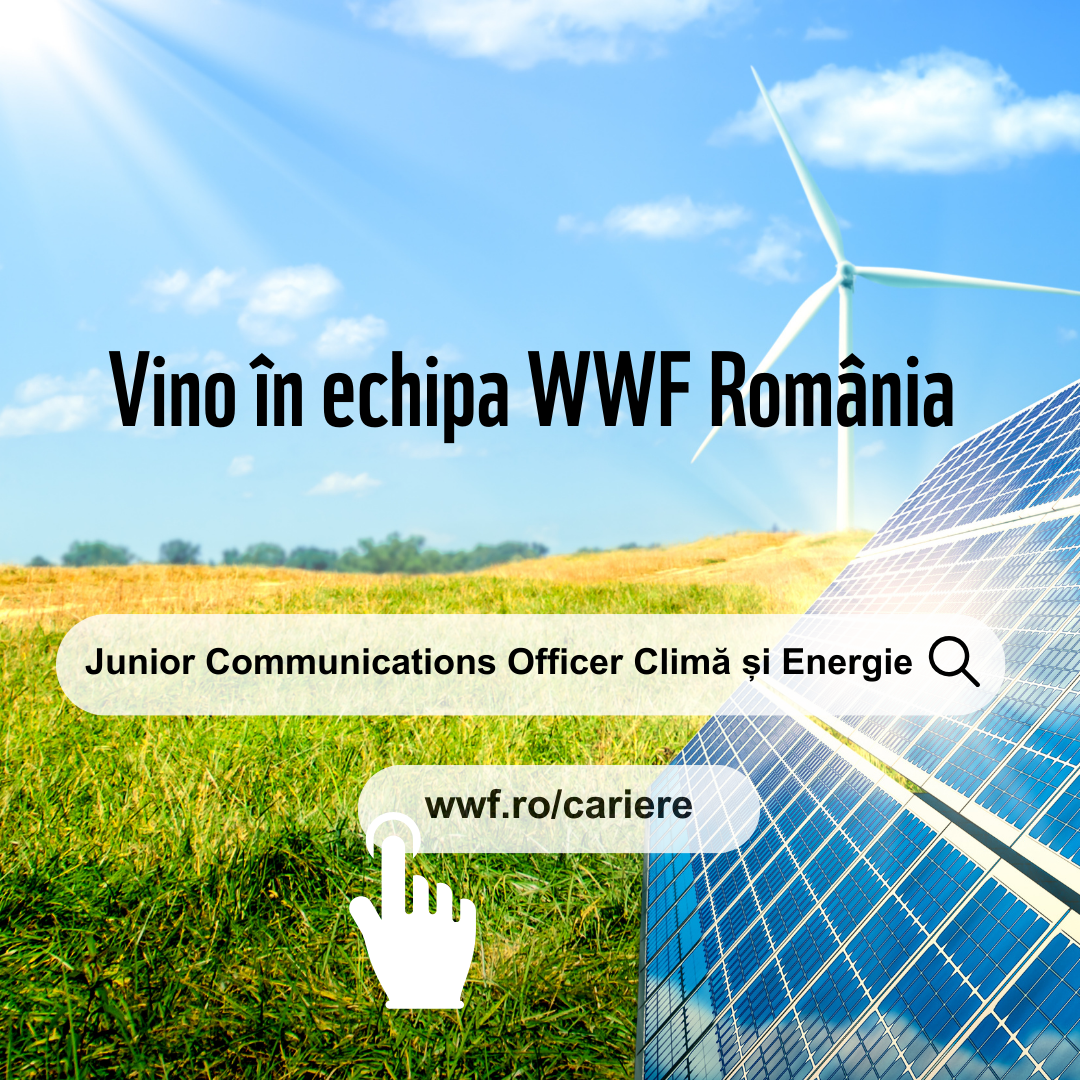 Junior Communications Officer Climate and Energy | WWF Romania