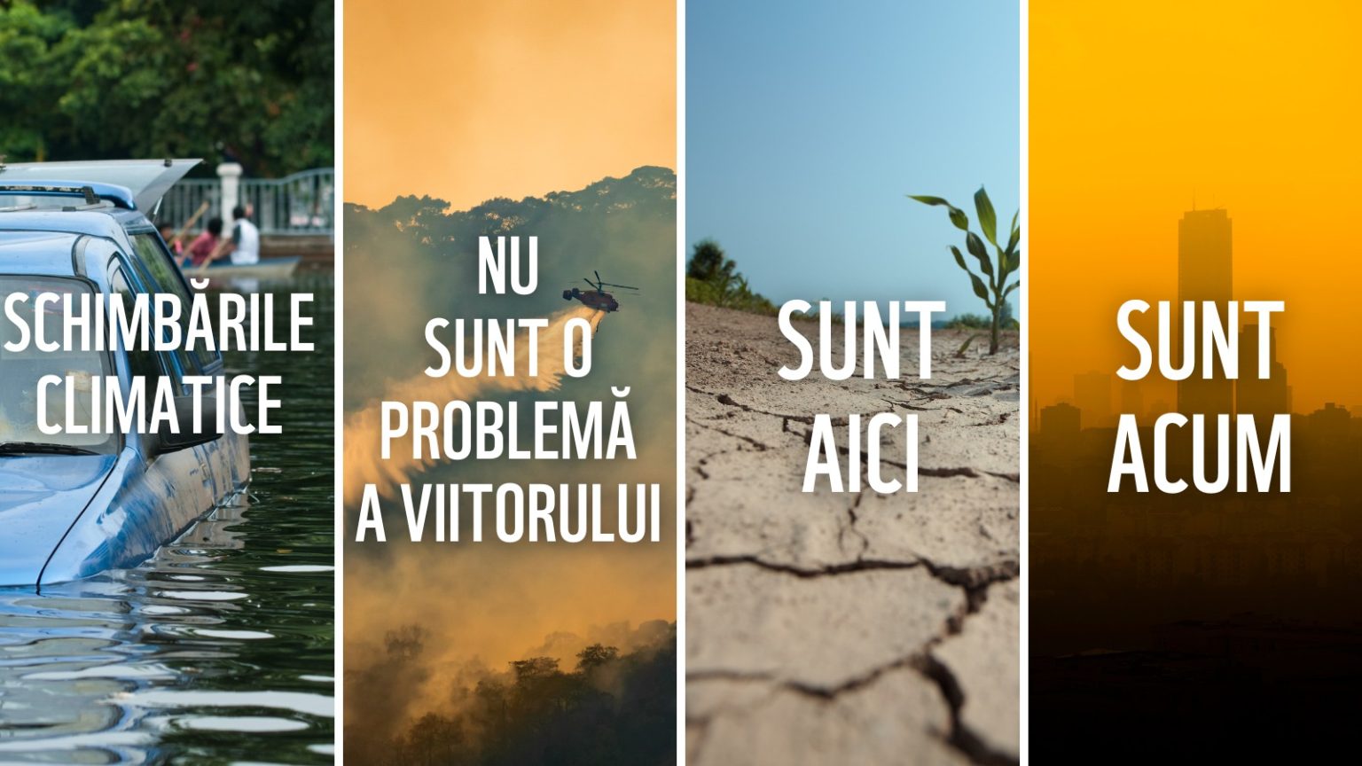 Schimbări climatice | WWF Romania