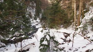 SUMAL 3.0 este absolut necesară | WWF Romania