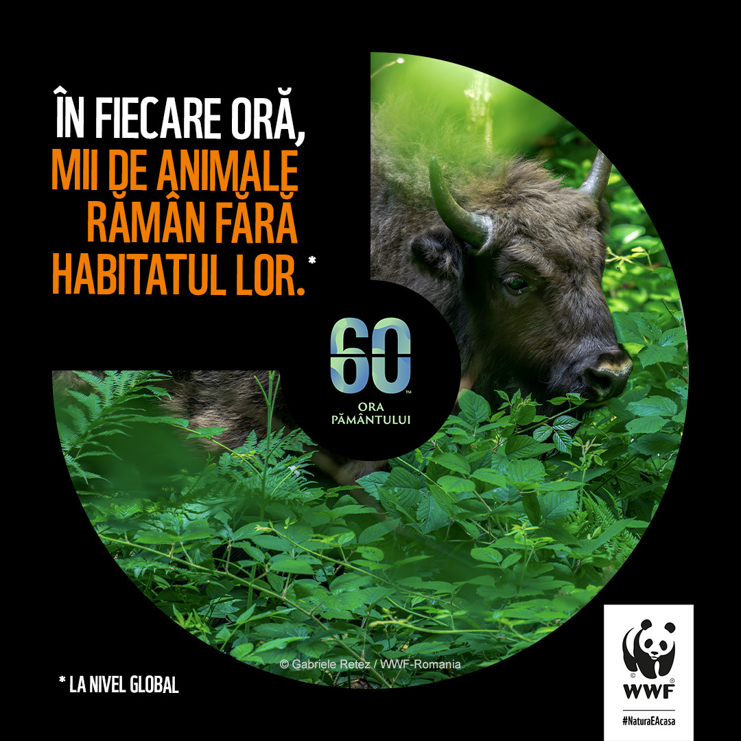 Ora Pământului24 | WWF Romania