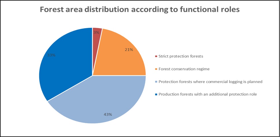 Old-Growth Forests in Romania | WWF Romania