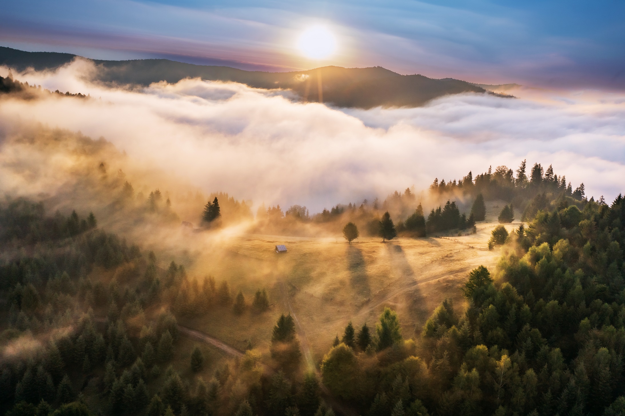 Old-Growth Forests in Romania | WWF Romania