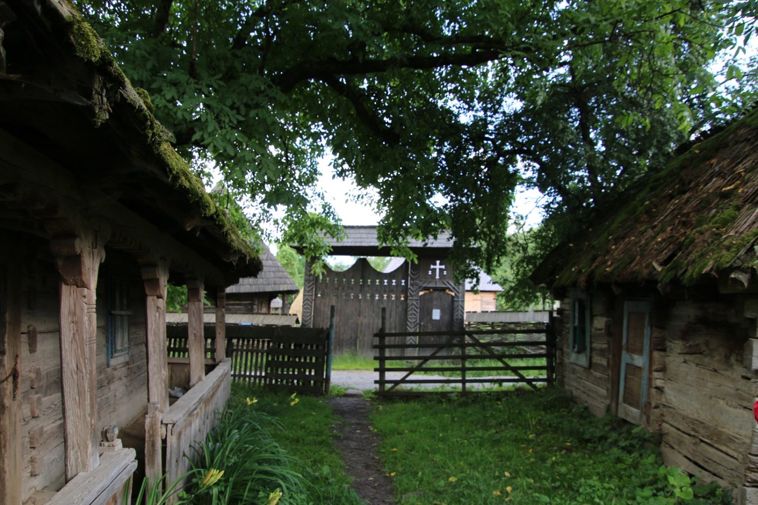 „Ruta Culturală a Lemnului” de-a lungul Dunării | WWF Romania