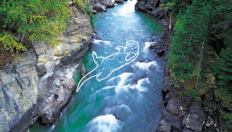 Rauri de munte | WWF Romania