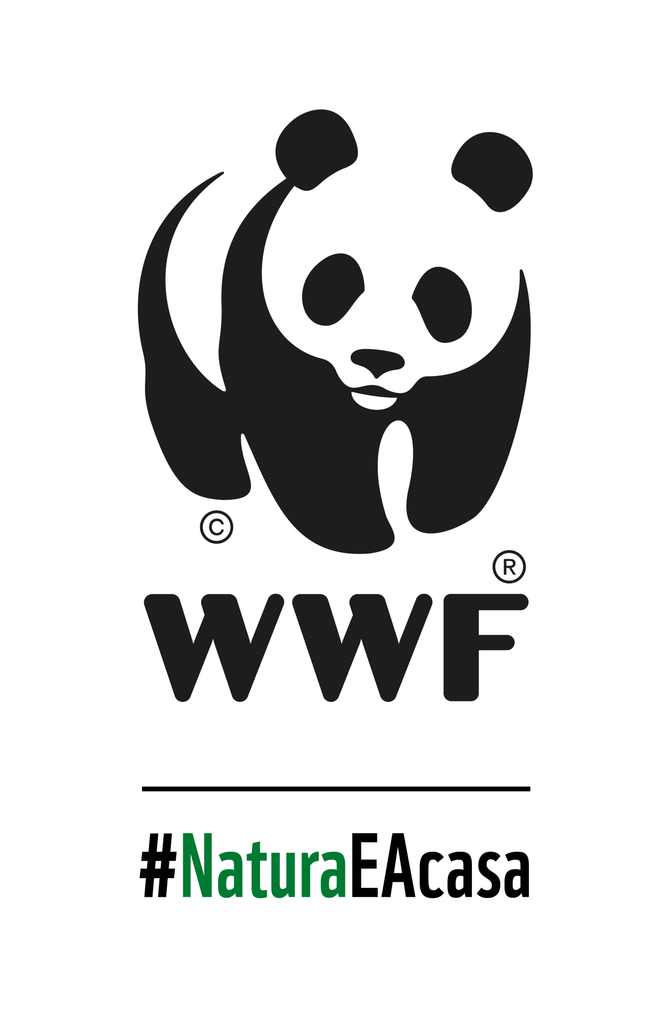 Zimbrul | WWF Romania