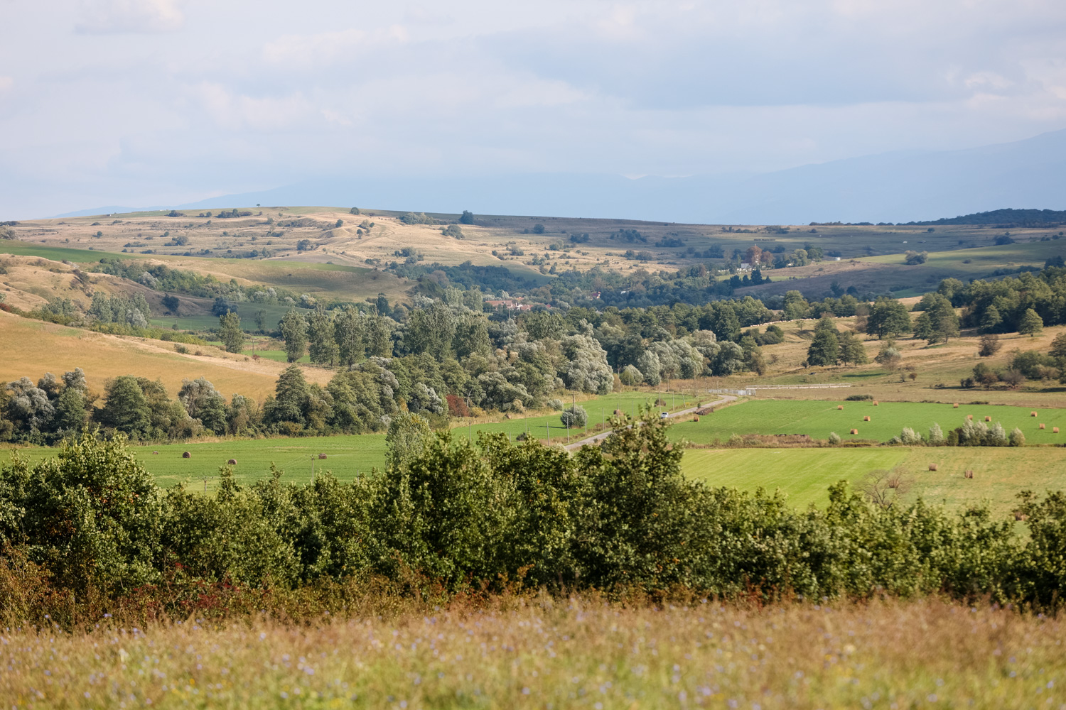 NRRP has to Support Forests and Communities | WWF Romania
