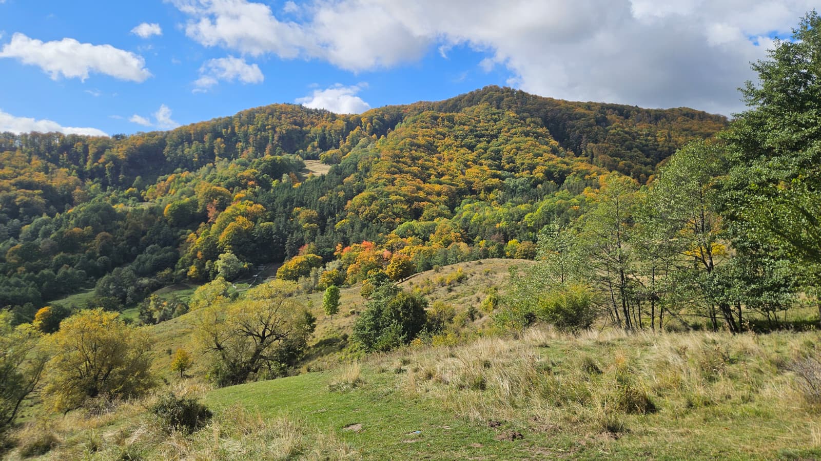 Call for Strict Protection Areas | WWF Romania