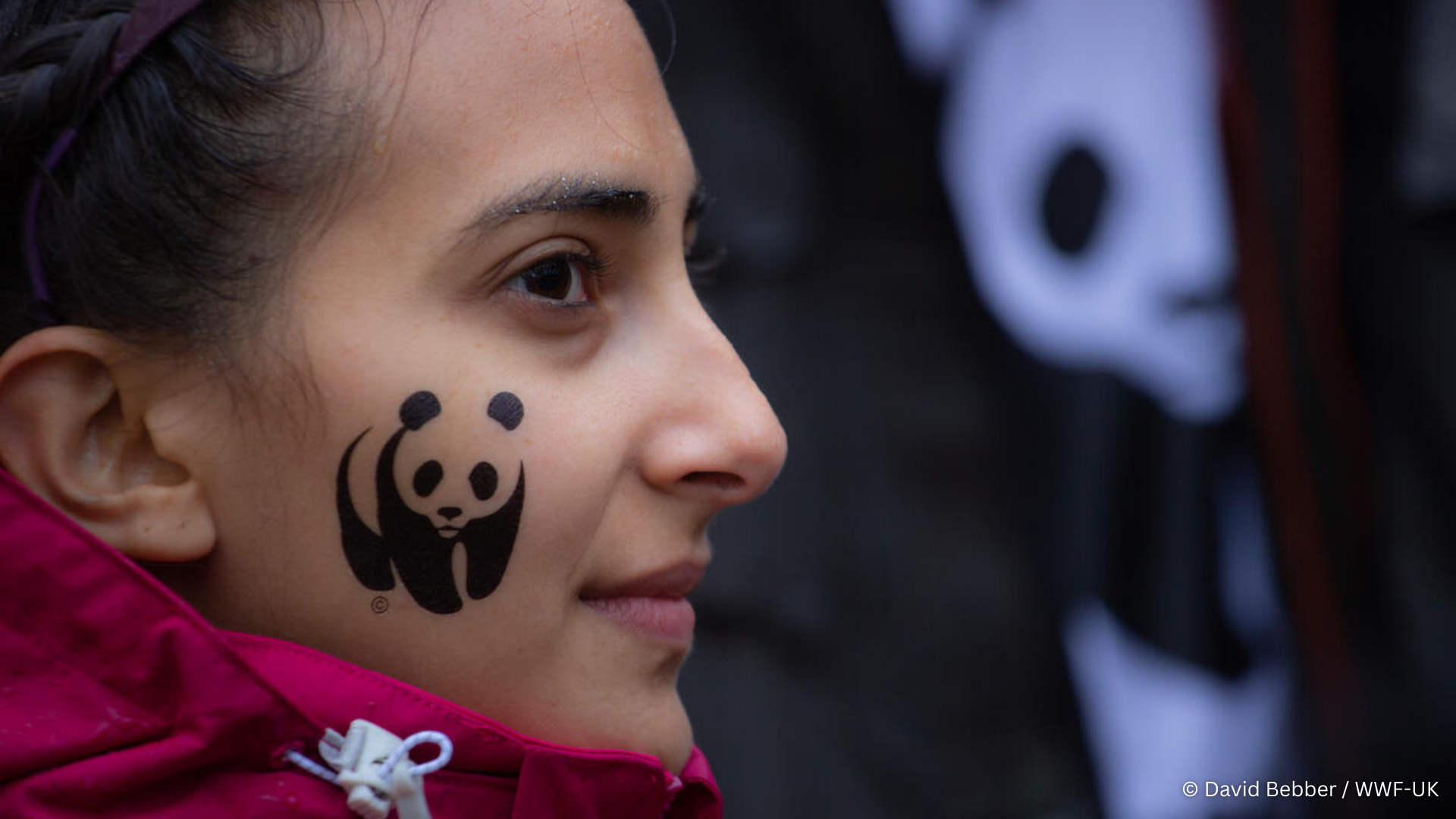 WWF Romania | Construim un viitor în care oamenii trăiesc în armonie cu ...